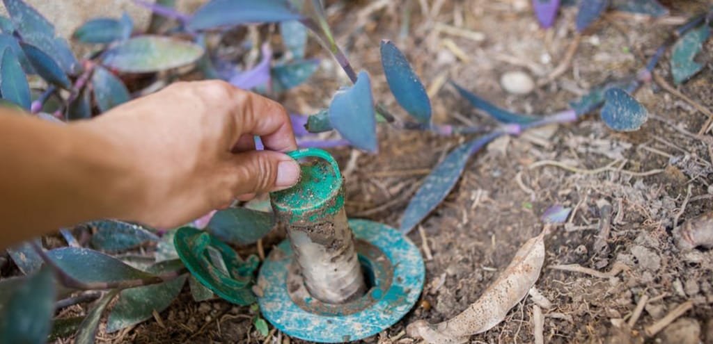 How Do Termite Baits Work? | Aussy Pest Control